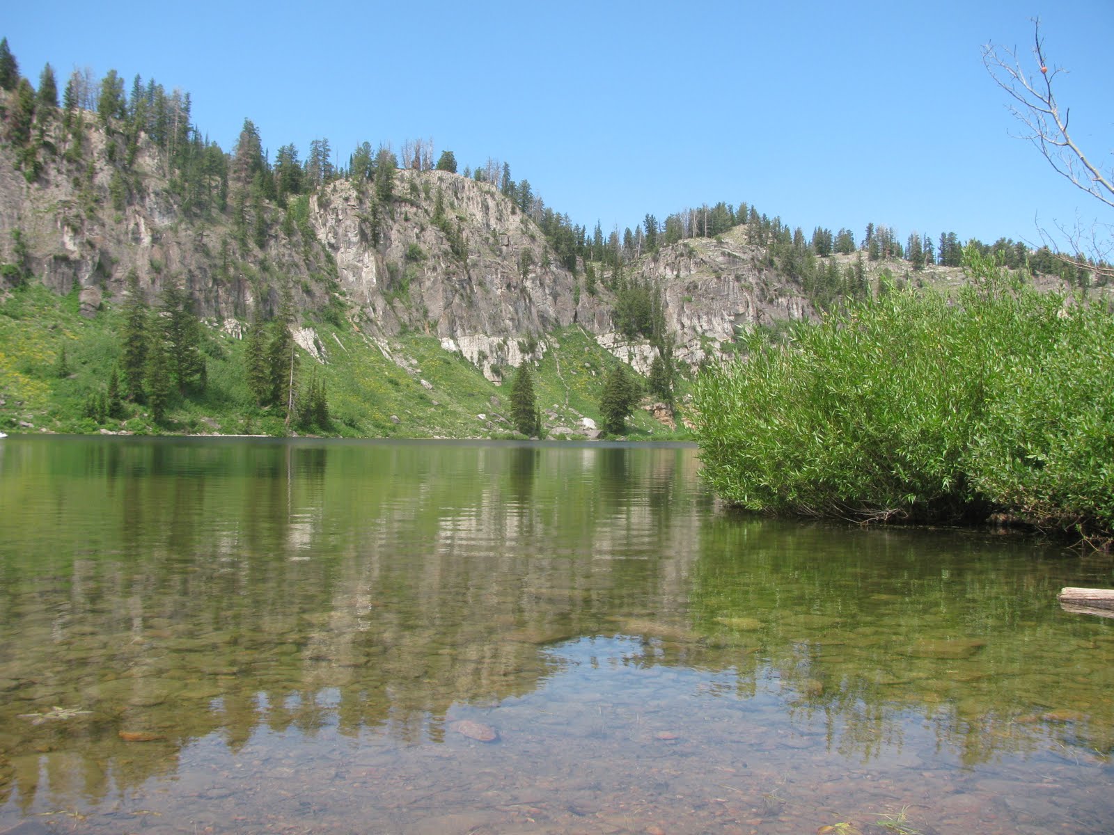 Backyard Excursions: Tony Grove