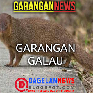 MEME ISTILAH ARTI GARANGAN - DAGELAN NEWS