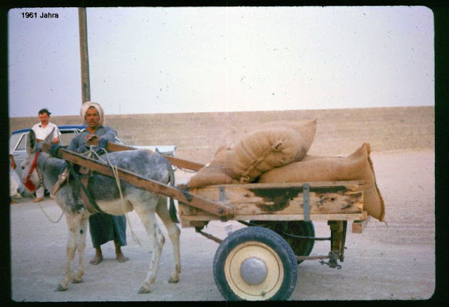Everyday Life of Kuwait in the Early 1960s Through Amazing Color Photos ...