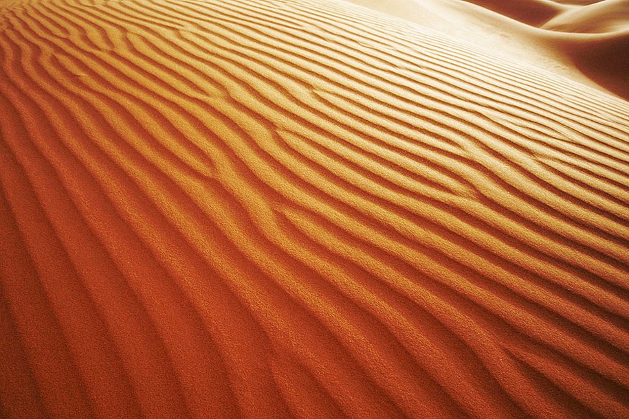 35 Breathtaking Examples of Patterns in Nature