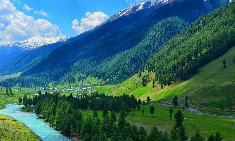 Unknown Majestic Bangus Valley of Kashmir