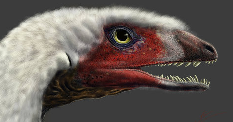 a mesozoic field guide: Panguraptor
