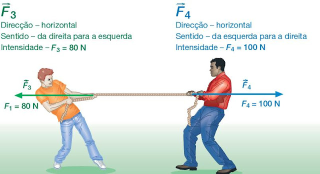 Ciências Físico-Químicas: Forças