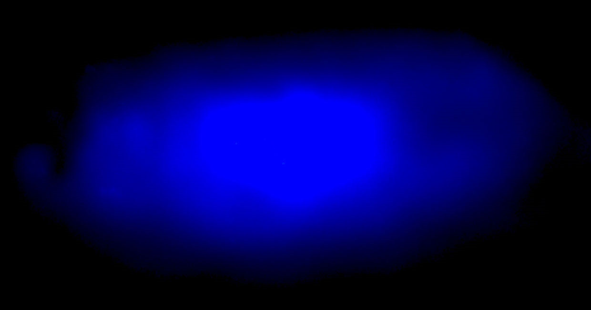 First Blue LED Emission From a Perovskite - LED news