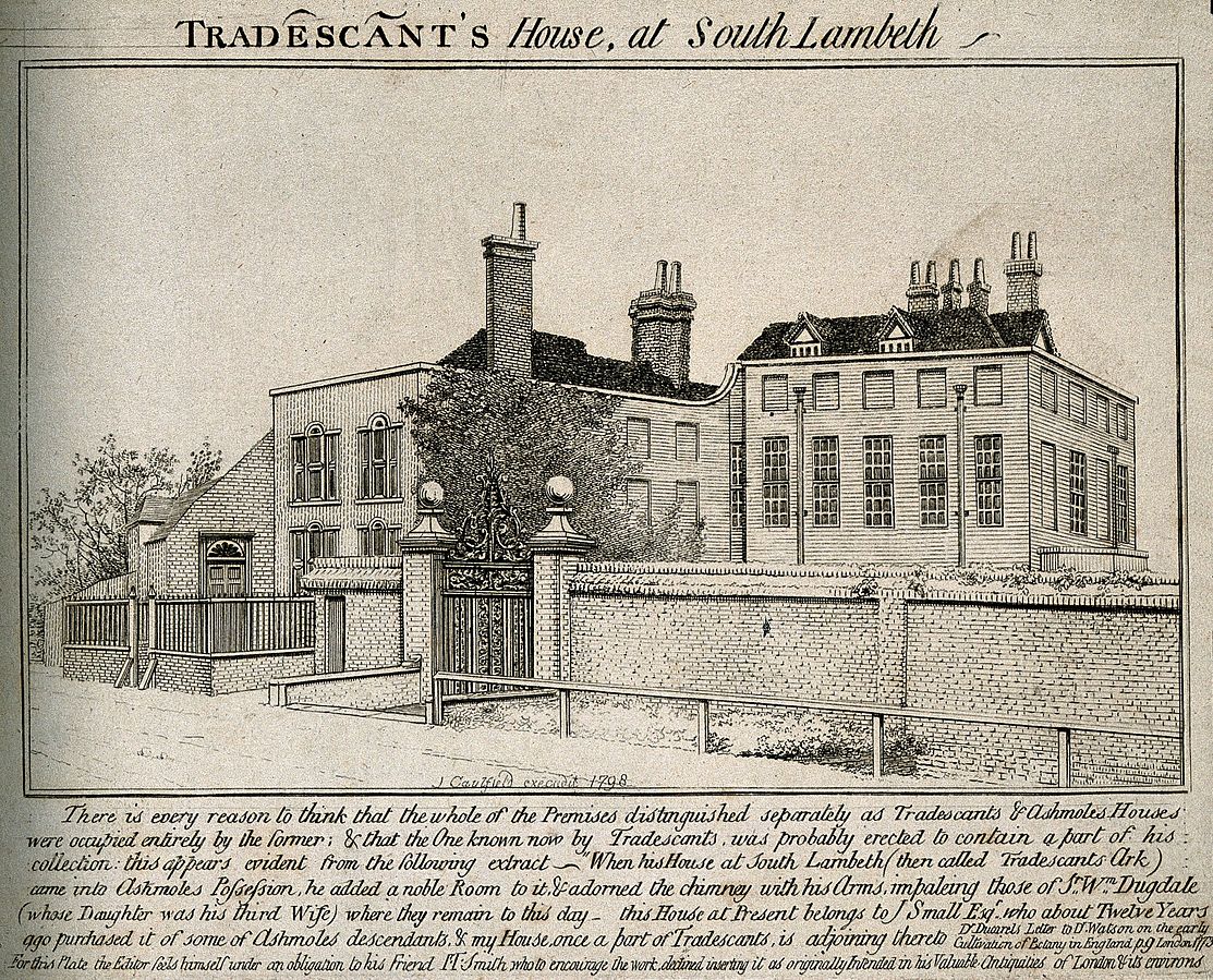 Smithsonian Collections Blog: The Tradescant Museum: A Proto ...