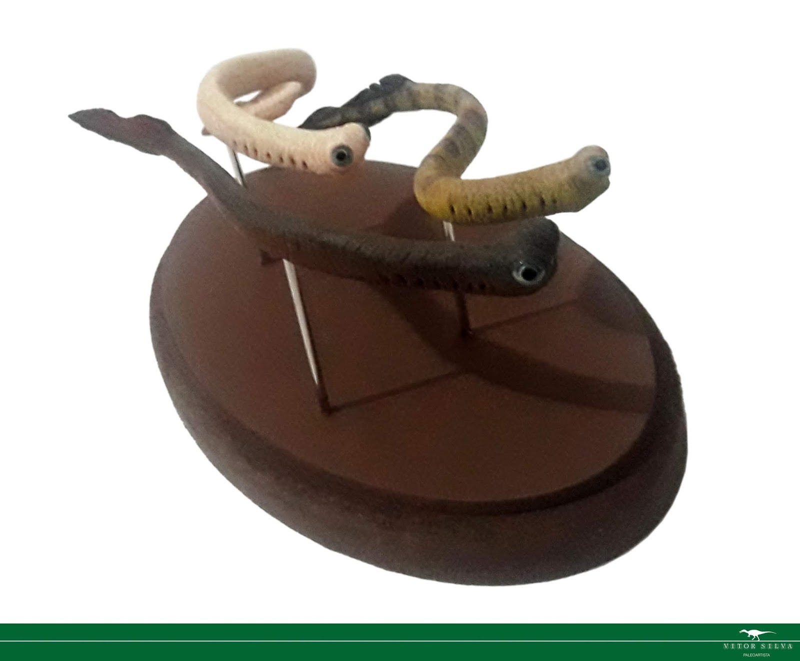 Vitor Silva - Paleoartista: Conodontes