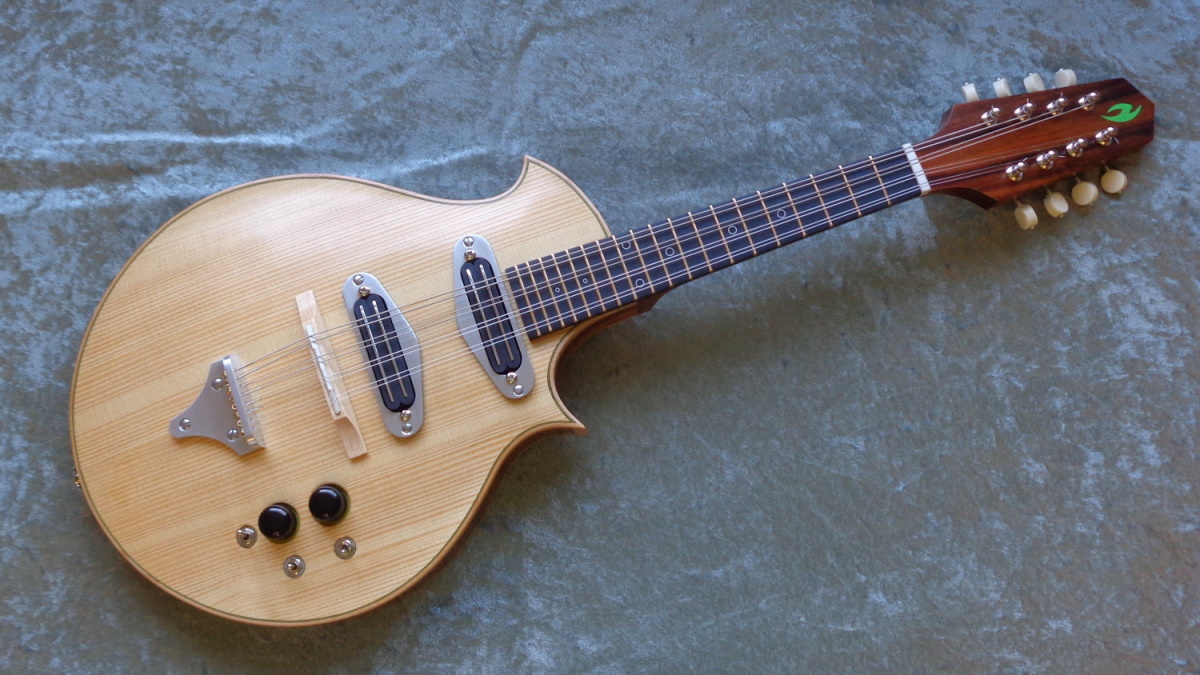 A Luthier's Blog: Chambered body electric mandolin: COMPLETED!