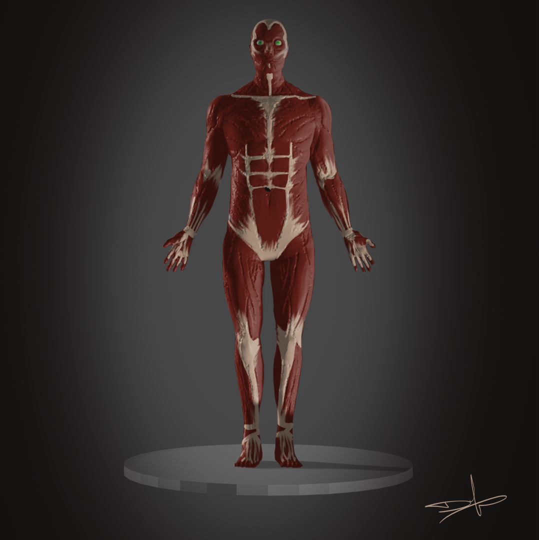 Man Anatomy’ - Human Anatomy - Man 3D model | CGTrader - Anatomy at ...