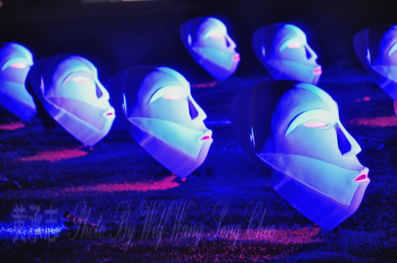 Torino In My eyes: 2012