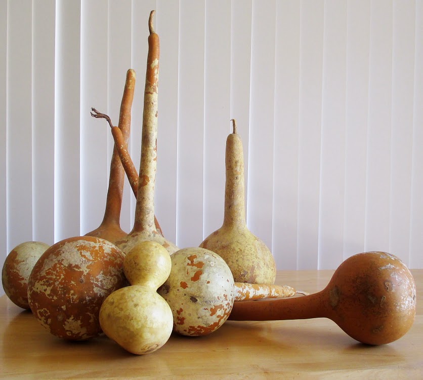 Empress Wu Designs with Wilma : Gourd Art