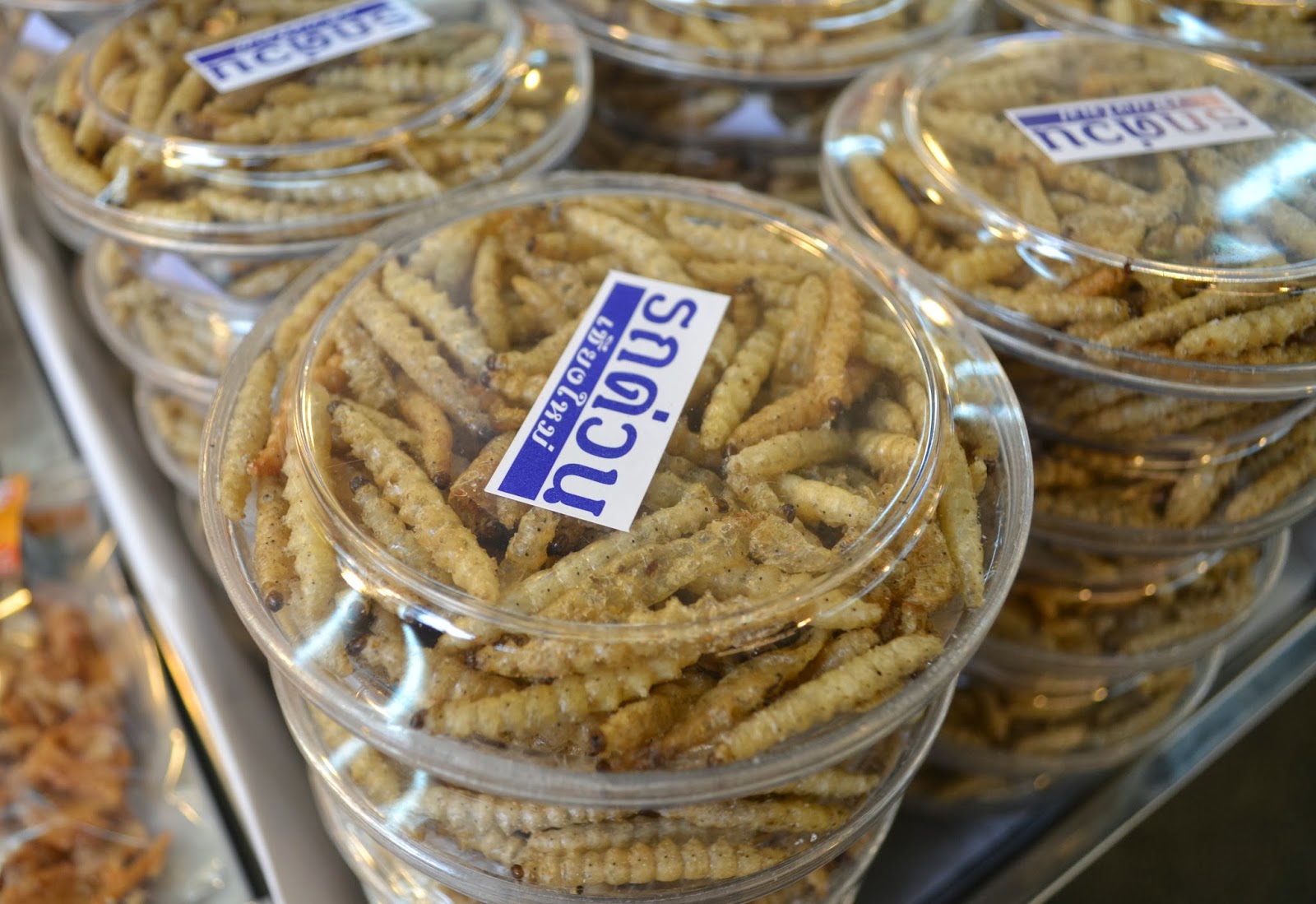 We Are Not Lost Blog: Cooking Thai In Chiang Mai