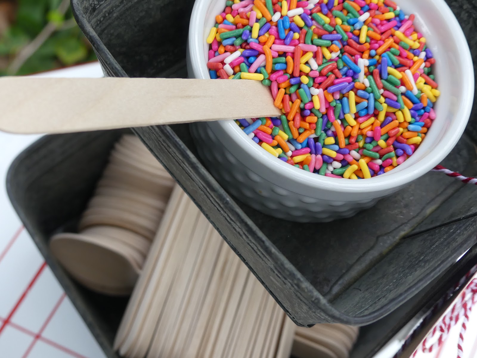 Monica Wilkinson: Neighbor Ice Cream Social