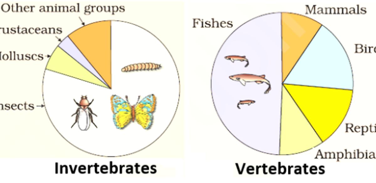 Welcome To The Living World Biodiversity And Conservation Plus 2 welcome-to-the-living-world-biodiversity-and-conservation-plus-2