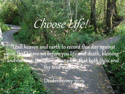 FrKevinEstabrook: Thursday after Ash Wednesday 2017 - Choose Life