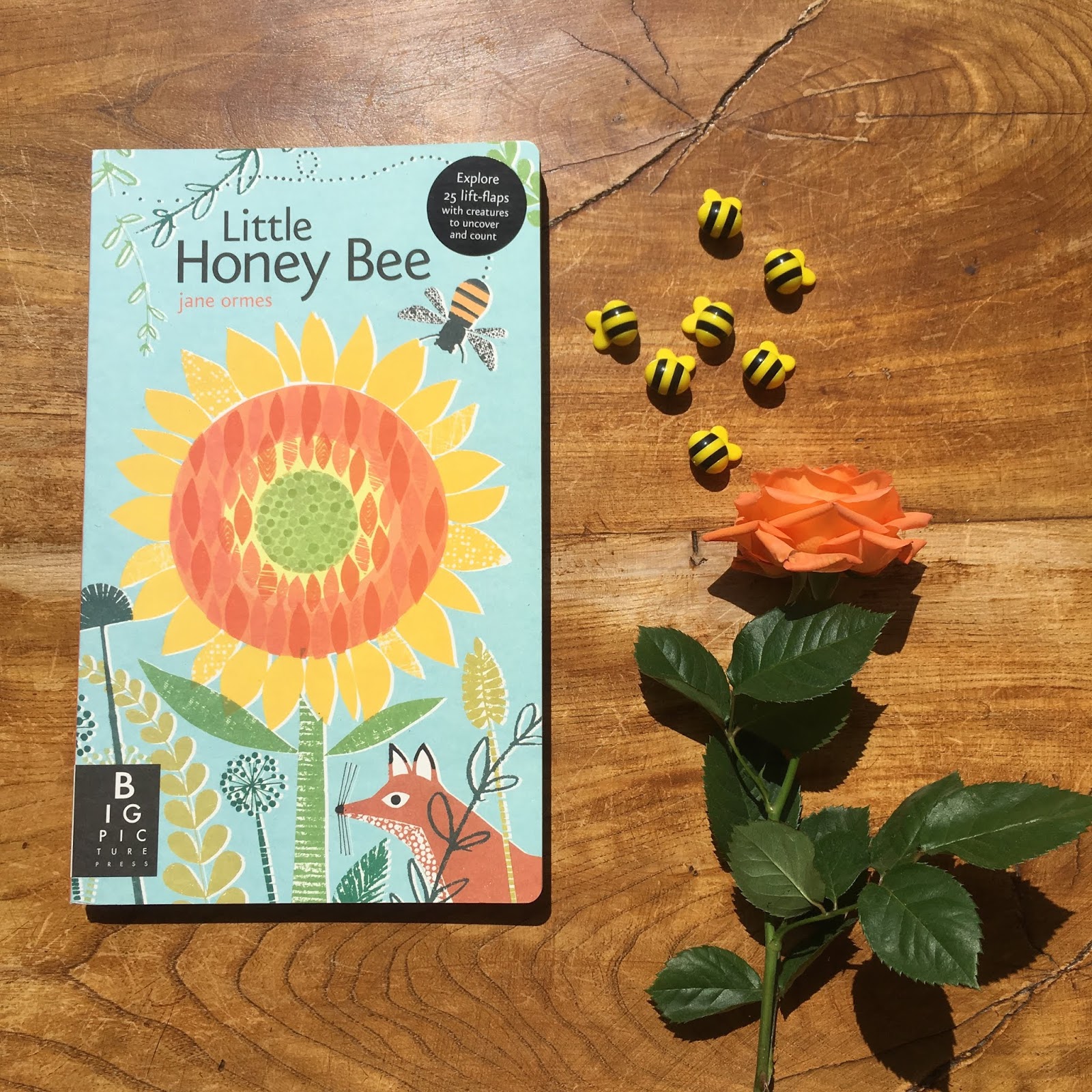 The Ultimate List of Books About Bees - BookBairn