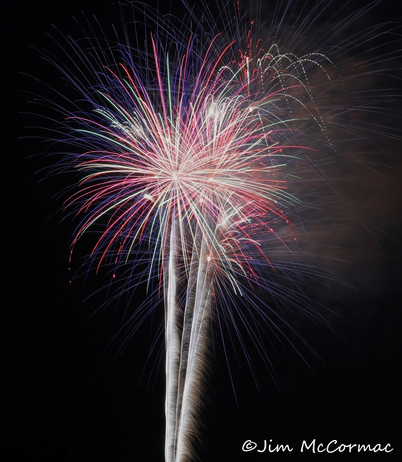 Ohio Birds and Biodiversity: Fireworks as Art
