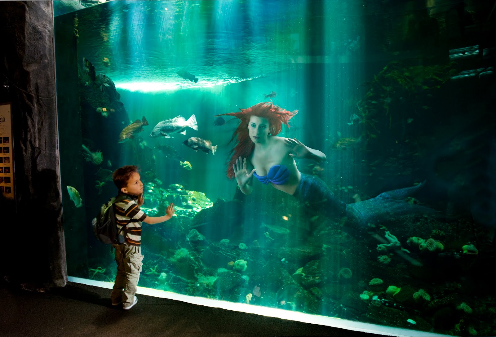 Coleccionista de Imagenes: Dina Goldstein Fallen Princesses