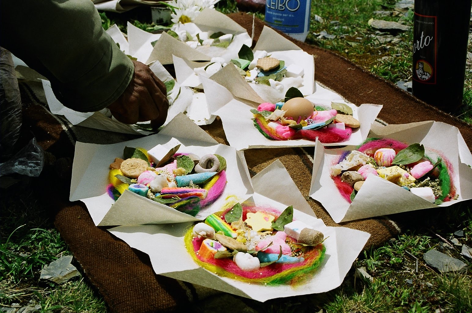 Julian Katari : Shamanic Healing with the legendary Kallawaya Medicine ...