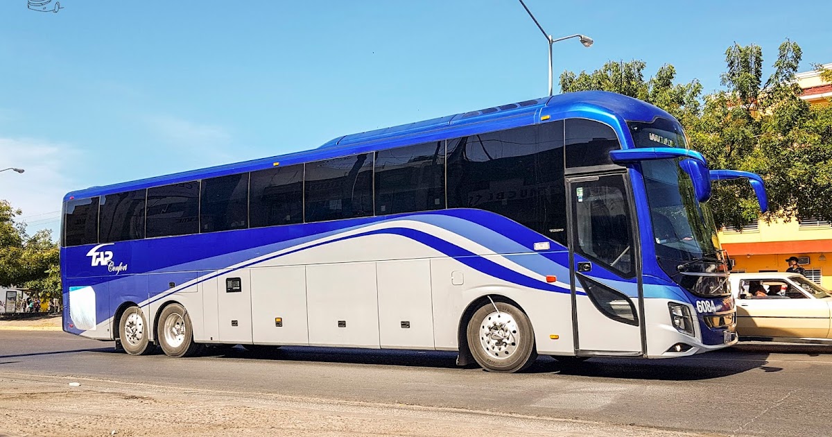 MAXIBUSES: TRANSPORTES Y AUTOBUSES DEL PACÍFICO, CONFORT (TAP CONFORT)