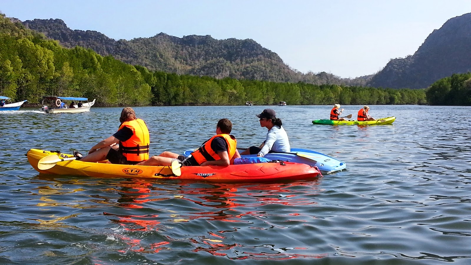 Langkawi Mangrove Tour: Mangrove Tour by Kayak