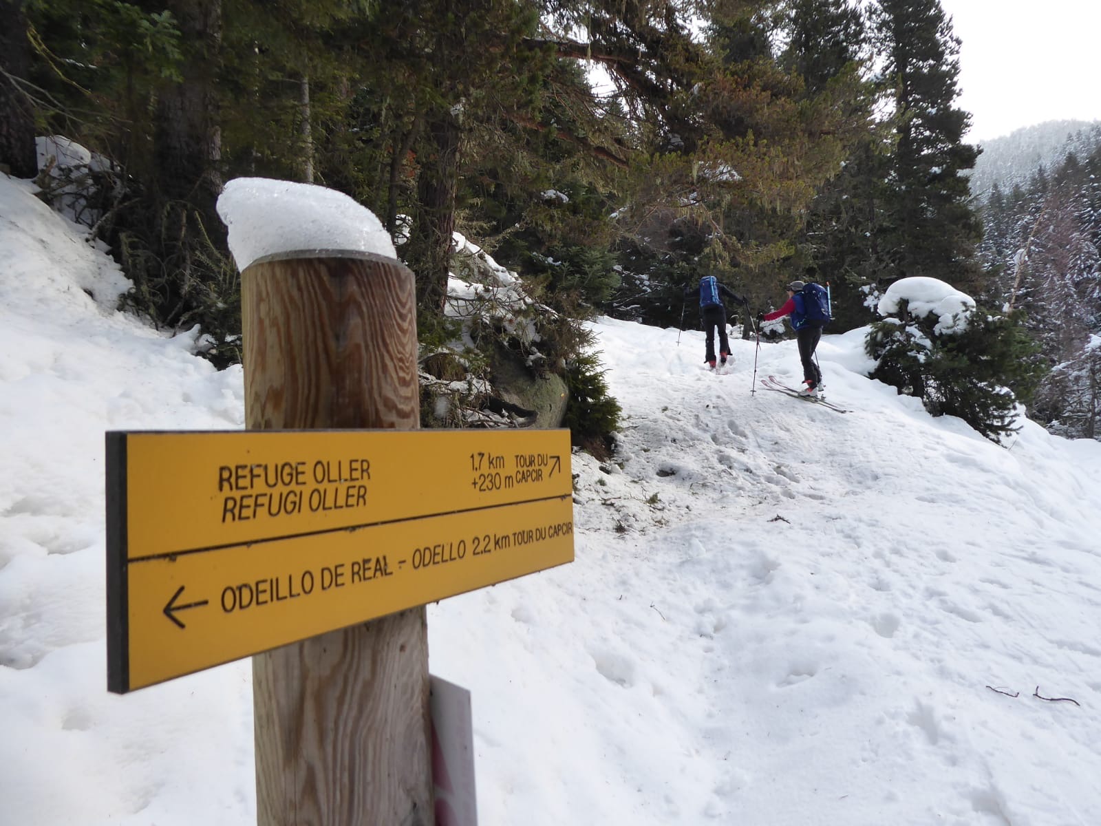 cegesqui: Roc de Madres, 2469 m 26/01/2020