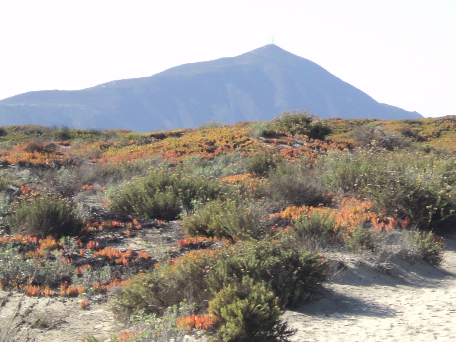 TURISTEANDO POR LA BAJA CALIFORNIA : Reserva ecológica del Estero de ...