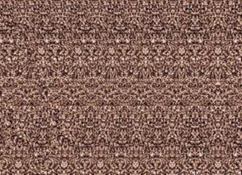 Estereogramas: Estereogramas 15/12/11