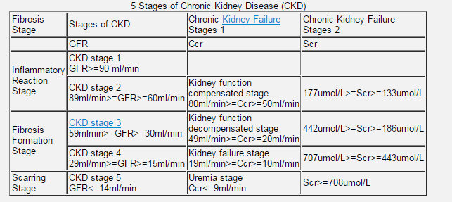 Insuffisance Rénale: 5 stades de la maladie rénale chronique (MRC)