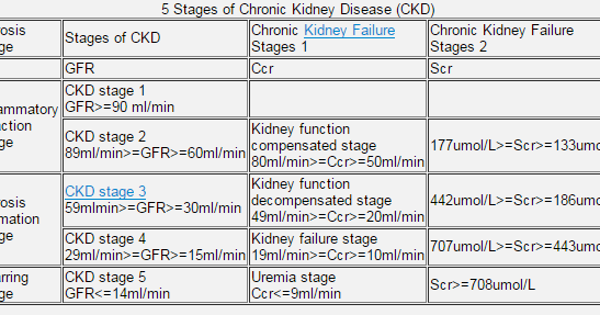 Insuffisance Rénale: 5 stades de la maladie rénale chronique (MRC)