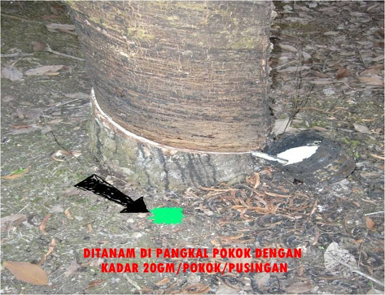 BAJA KELAPA SAWIT,GETAH DAN BUAH-BUAHAN