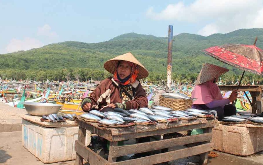 Ikut Yuk... Berwisata Sekaligus Berburu Ikan di Pantai Puger Jember ...