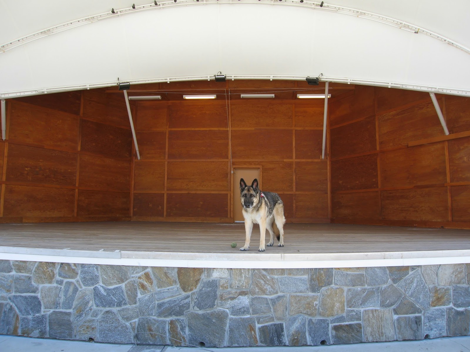 The Journey and Adventures of Nancy Moreau