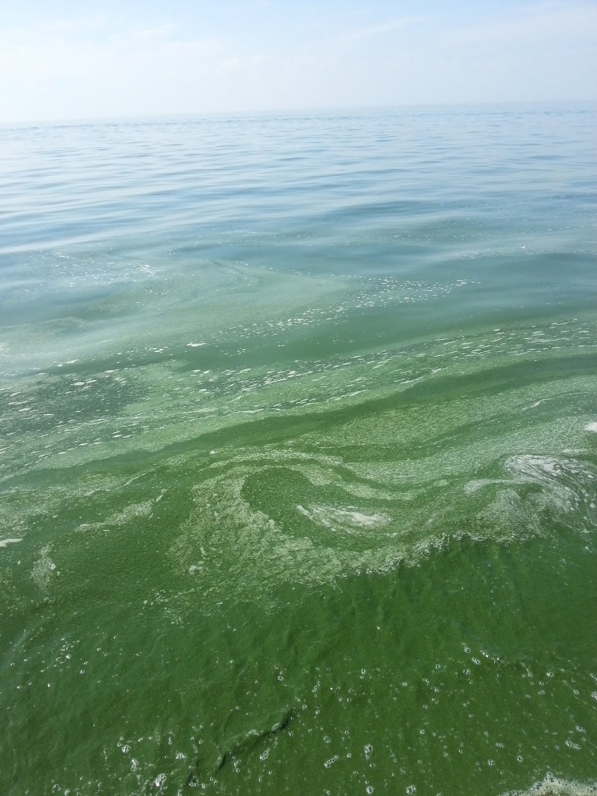 What is happening with the clean up of Lake Winnipeg - addressing ...