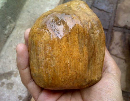 Cara Mengolah Fosil Kayu Menjadi Kerajinan Layak Jual