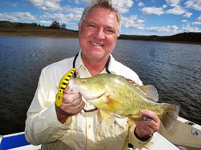 Deep River Lures: Golden Perch.