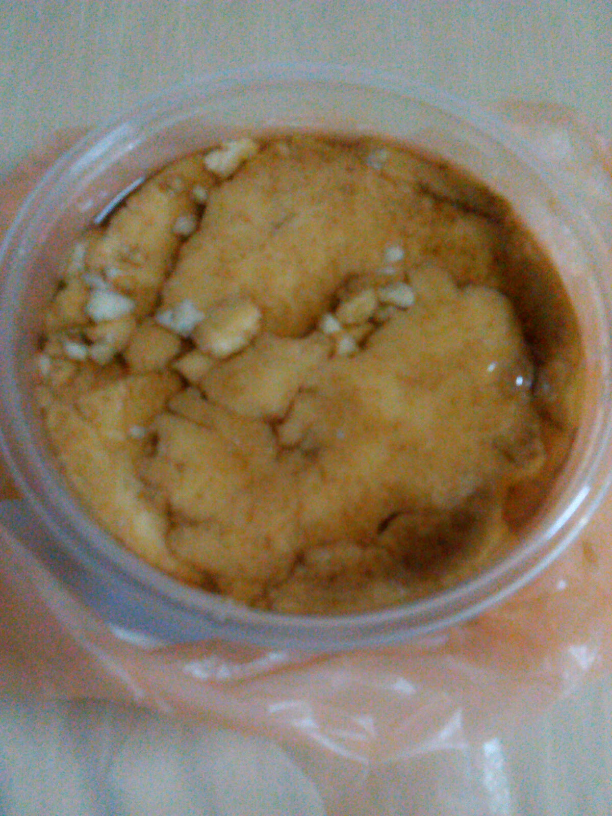 Pergi Pasar Malam Beli Tau Fu Faa & Burger Oblong Daging | Solehah ...