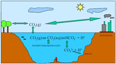 Combustibles fosiles