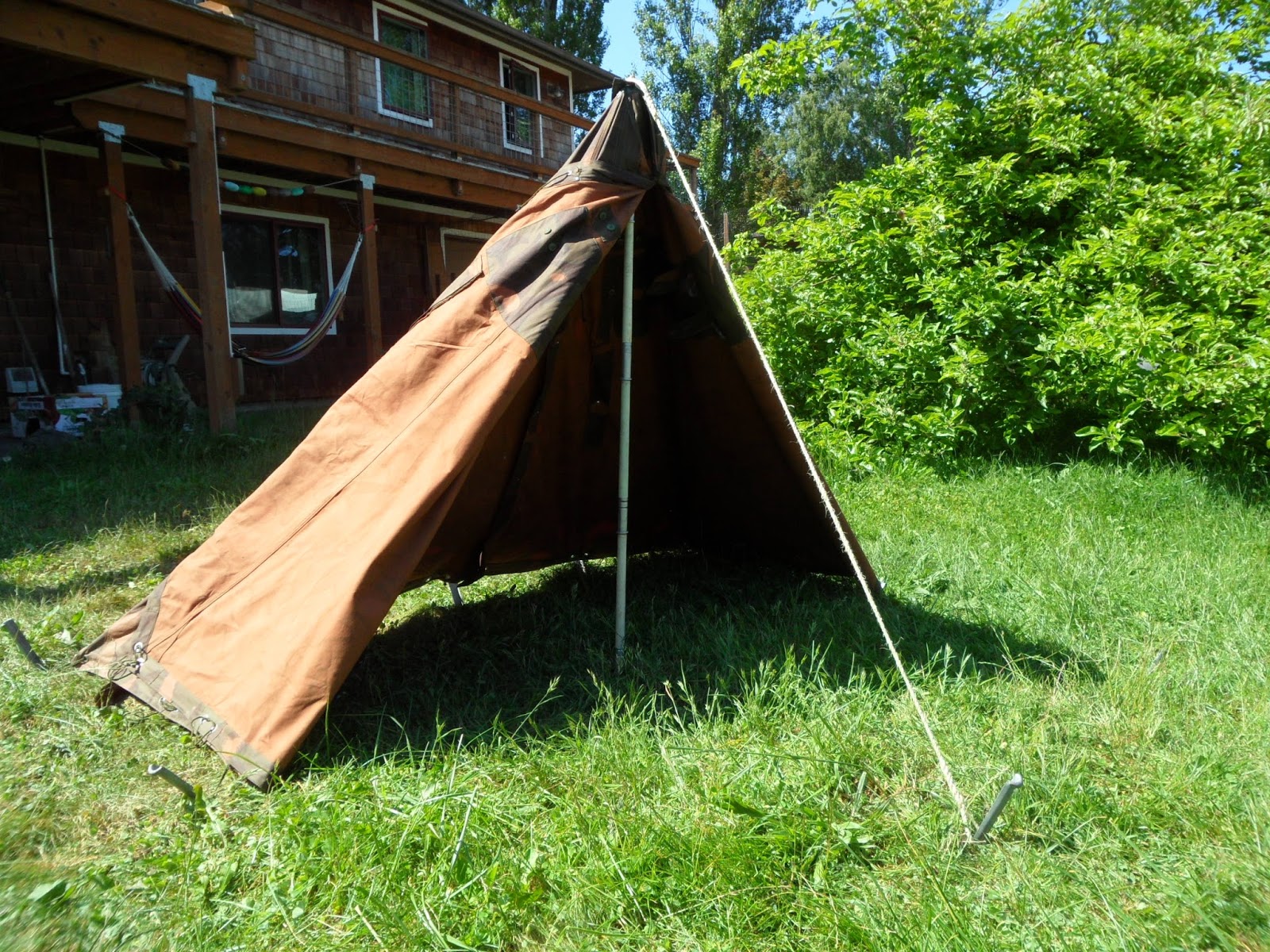 Four Bees: Hungarian Zeltbahn M49/82 Set Up as Tent , With Mosin Nagant ...