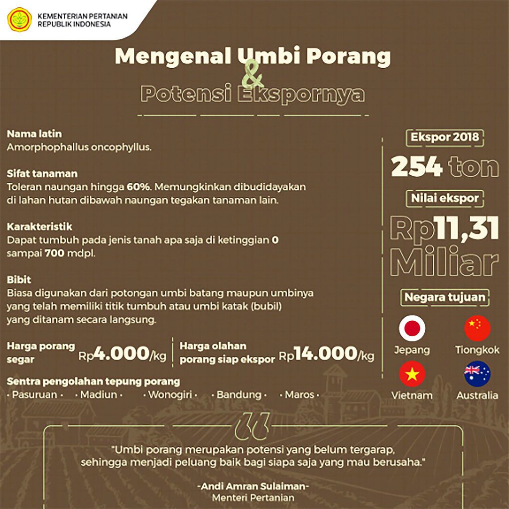 Mengenal Tanaman Porang: Manfaat, Harga, Budidaya, & Nilai Bisnis Mengenal Tanaman Porang: Manfaat, Harga, Budidaya, & Nilai Bisnis