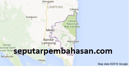 3 Fakta Kabupaten Lampung Timur - SeputarPembahasan.Com