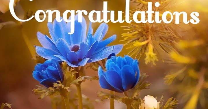 Top 10 Congratulations Images greating Pictures,Photos for Whatsapp ...