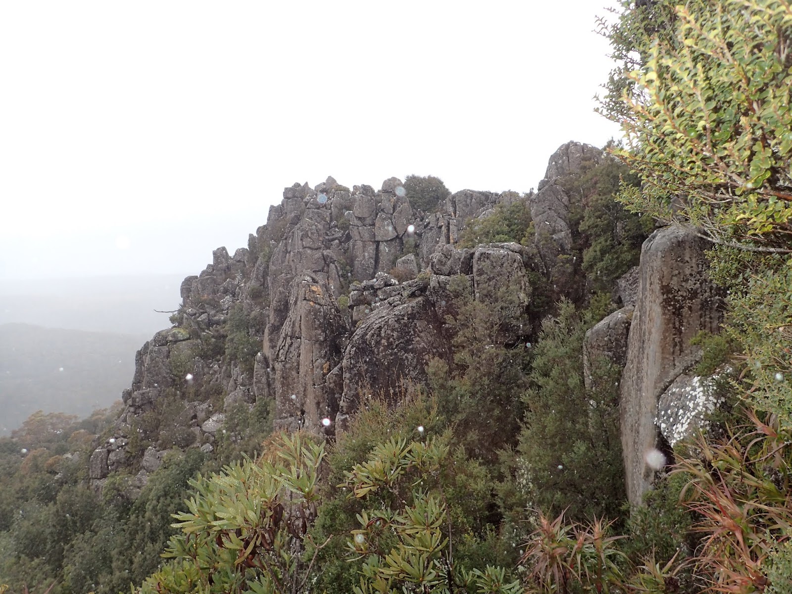 Mount Charles from White Timber Trail | Hiking South East Tasmania