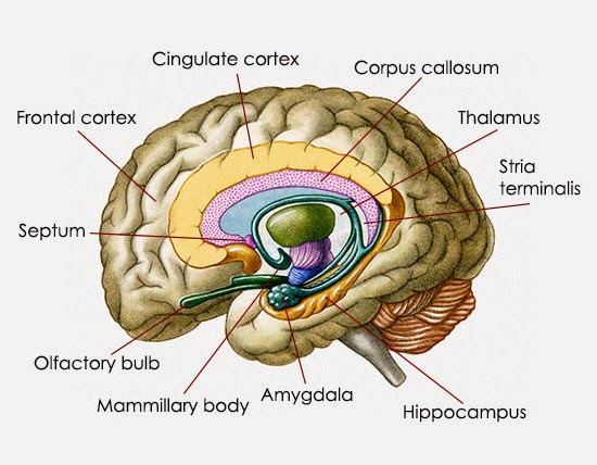 raging universe: Unconscious Consciousness