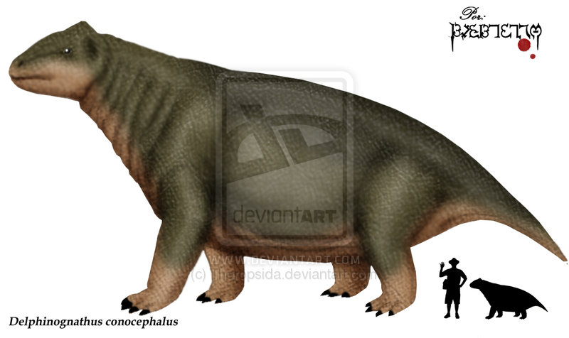 Los animales en la prehistoria: Animales prehistóricos con la letra D