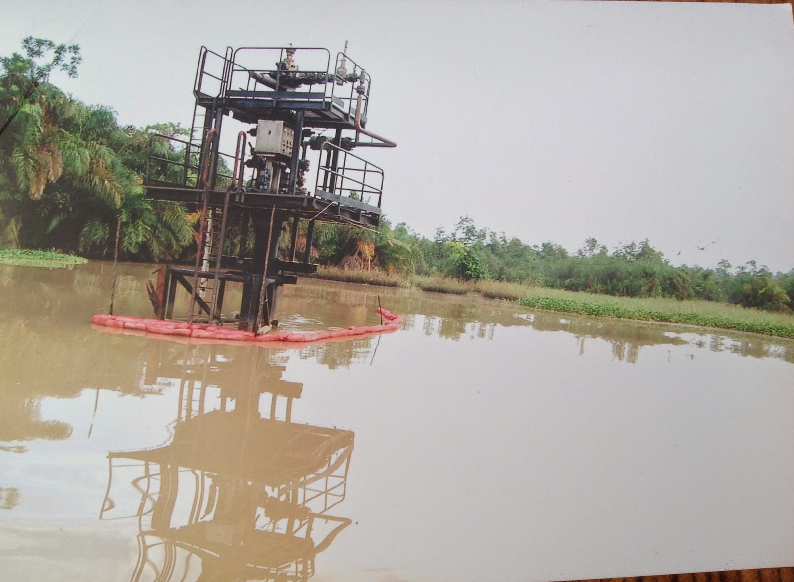 The Biafran: Anticipation of Nigeria's breakup: Multinational oil ...