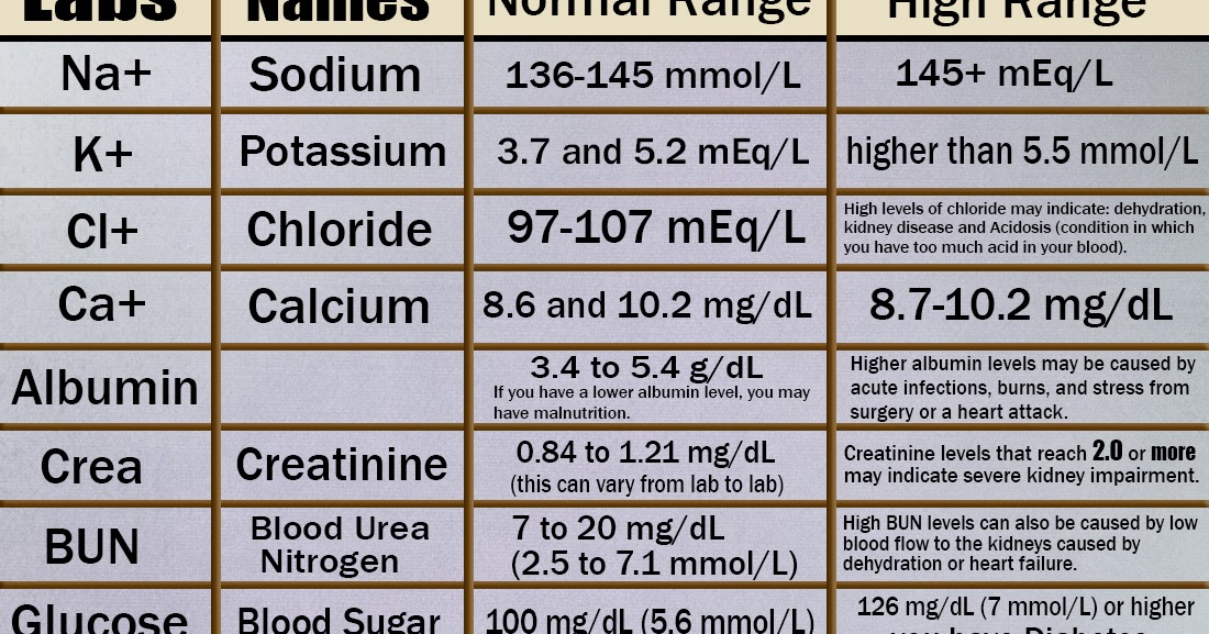 Is It Really Possible To Get Off Kidney Dialysis Labs And Kidney is-it-really-possible-to-get-off-kidney-dialysis-labs-and-kidney