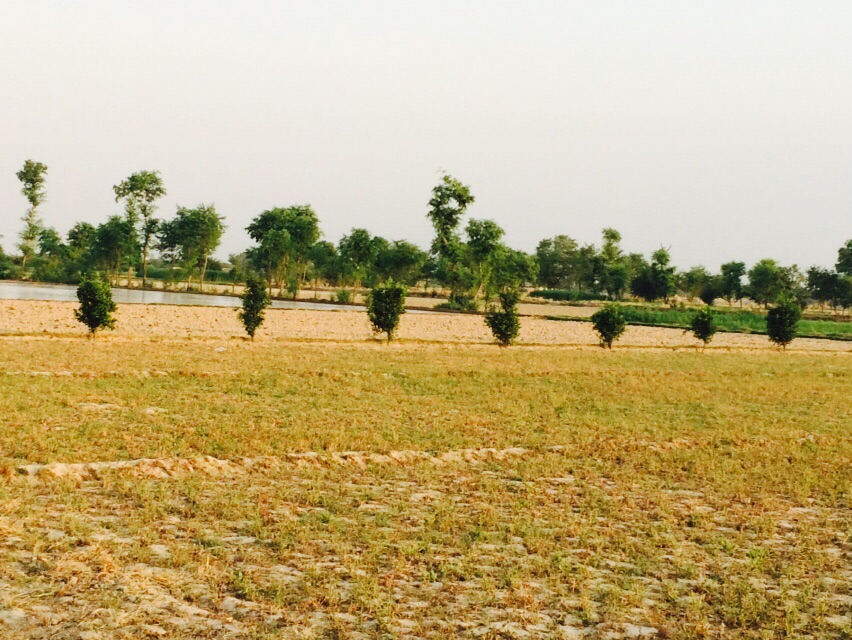 My Own Views: Village Views Of Pakistan, Muhammad Pura