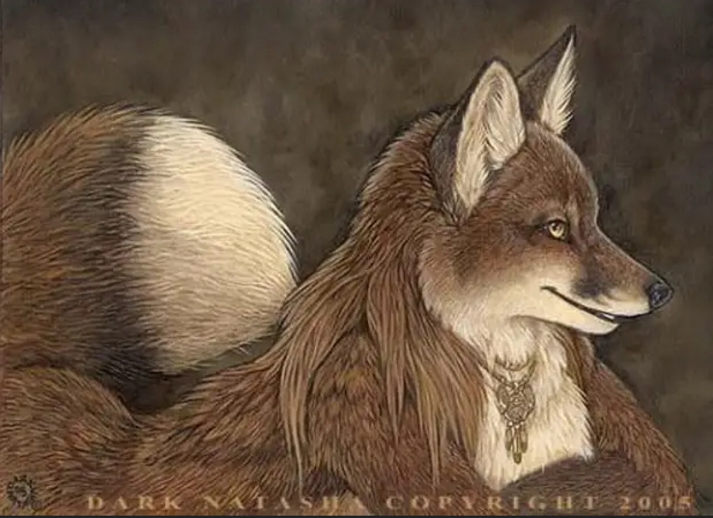 The Magic cafe: Фурри-арт Лисы. Dark Natasha