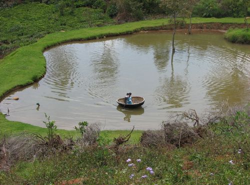 Different between Natural & Man made ponds