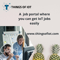What Are The Skills Required To Get IOT Jobs?